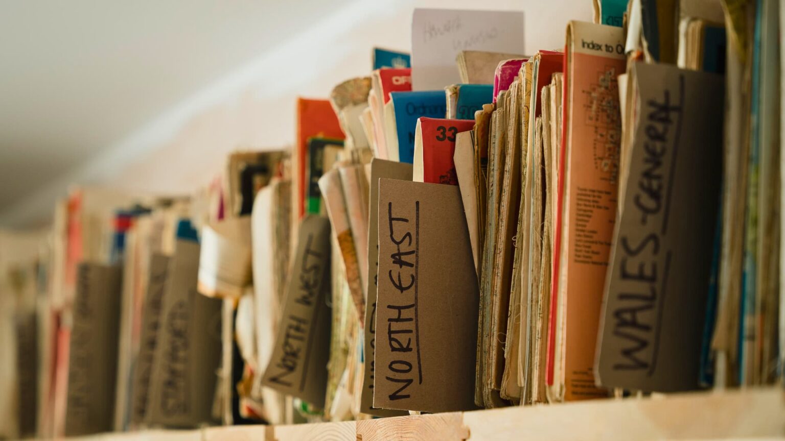 Gillian Bates: Feathers and fur – TextileArtist