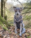 Sculpted textile wonders - TextileArtist.org