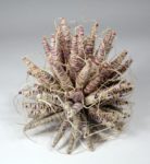 Jean Draper: Stitching conflict - TextileArtist.org