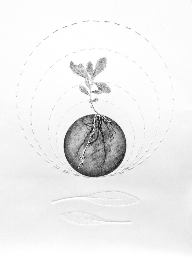 Monique Day-Wilde: Exploring ‘place’ through stitch - TextileArtist.org