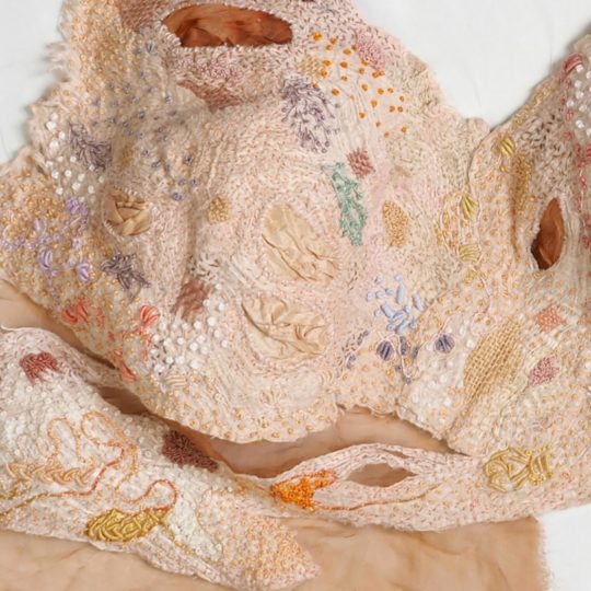 Joy Denise Scott: The poetry of stitch - TextileArtist.org