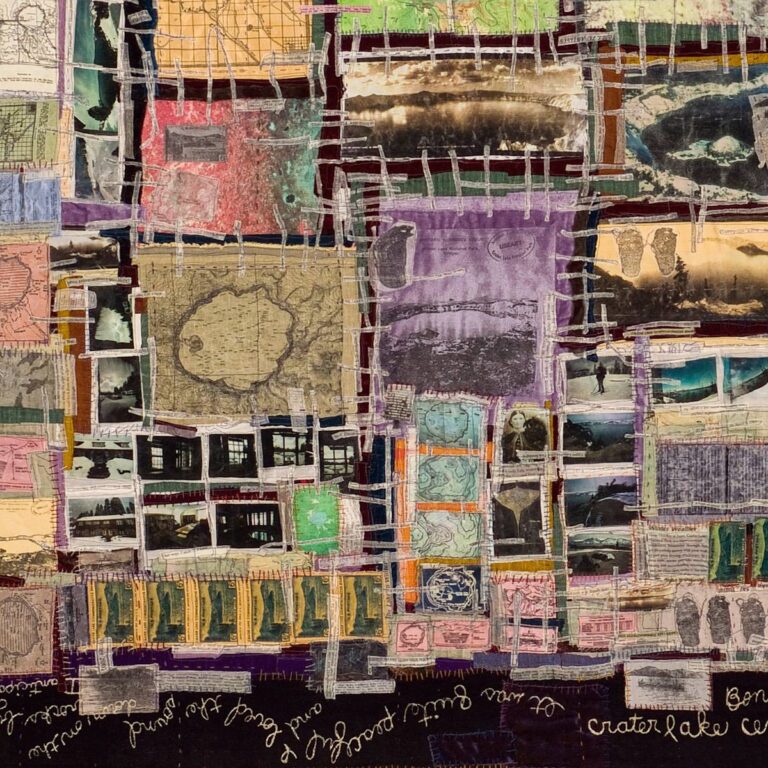 Bonnie Peterson: Stitch activist